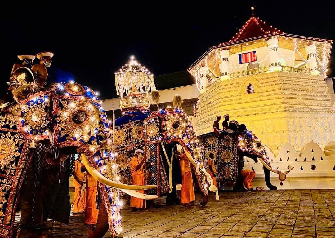 Kandy Esala Perahera 2026: Sri Lanka’s Most Spectacular Cultural ...
