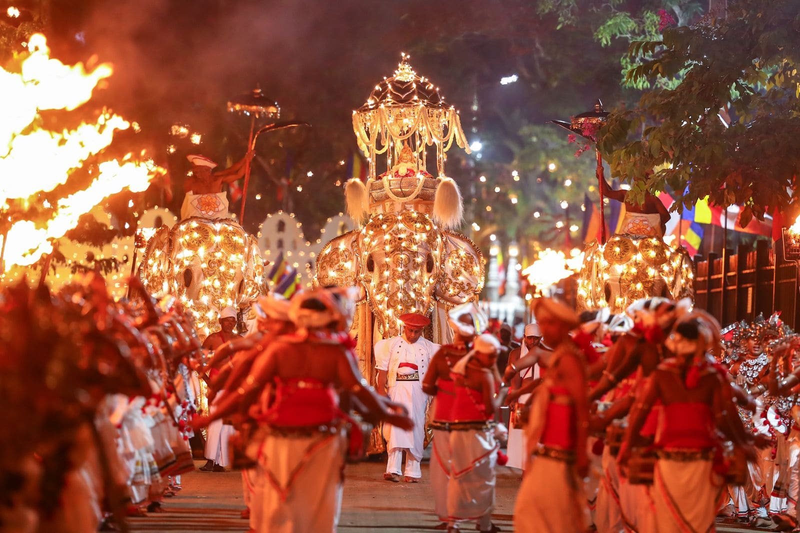 Kandy Esala Perahera 2026: Sri Lanka’s Most Spectacular Cultural ...